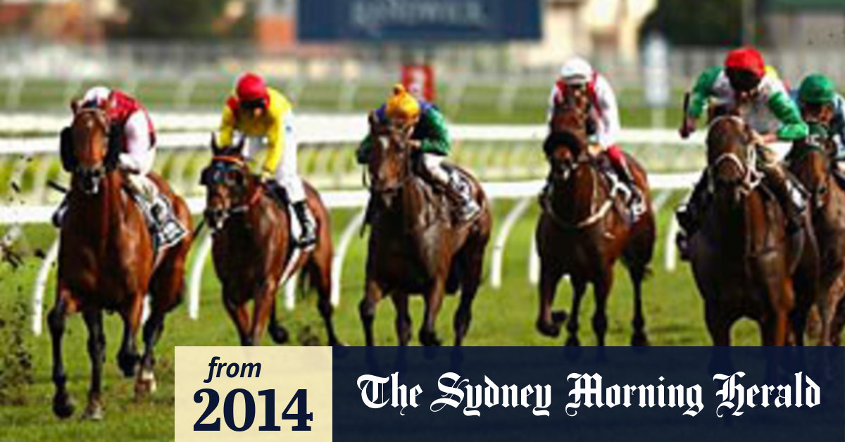 Horse racing officials to study Australian track ratings