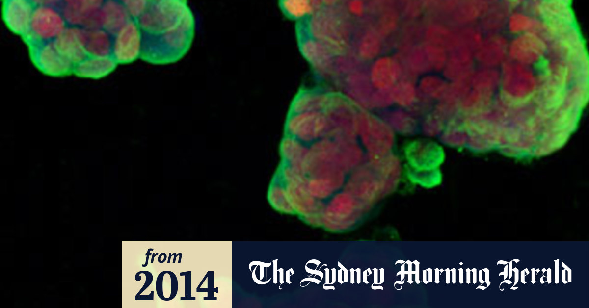 A fragmented approach to cancer may strengthen it