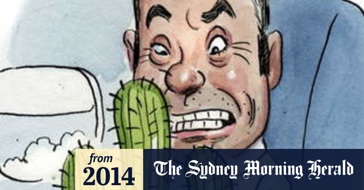 Cartoons for Monday September 1