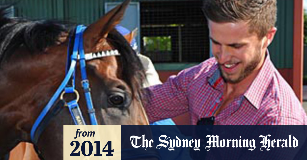 Mark Kavanagh makes gear changes for Chivalry in Blue Diamond Stakes