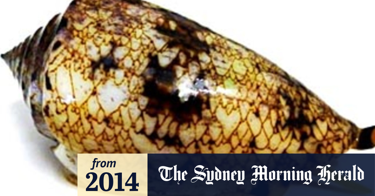 Chronic pain relief: Scientists trial non-addictive drug from snail venom