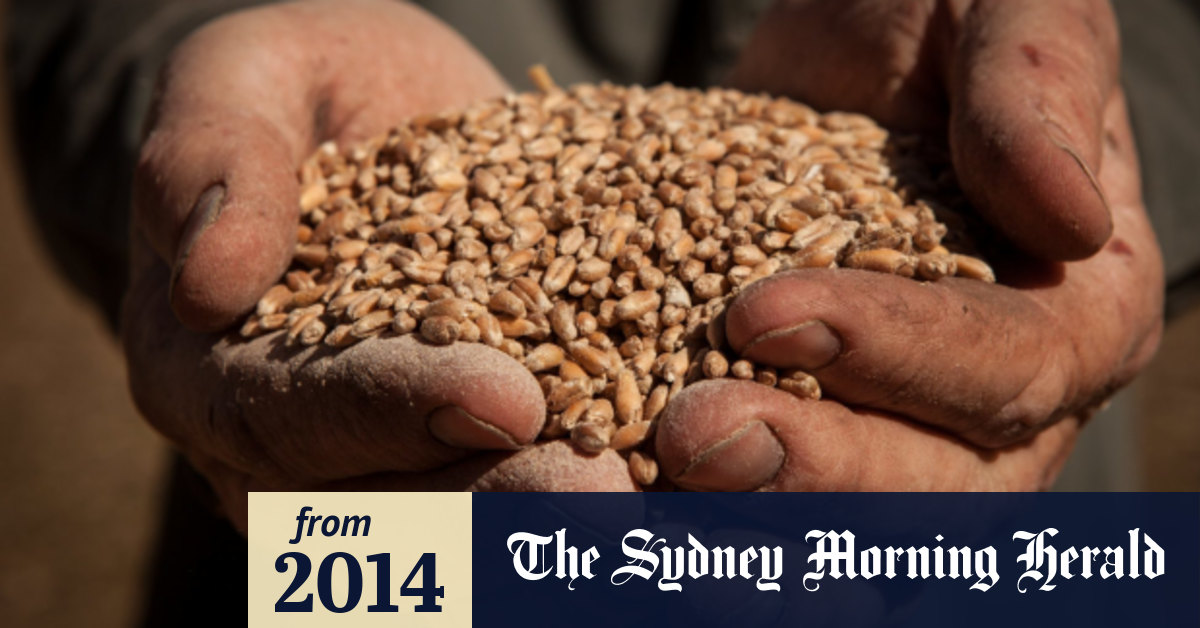 A city-style campaign backfired in the bush