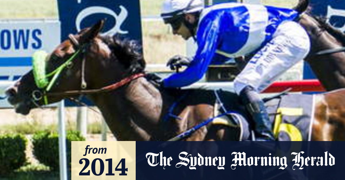 Joe Cleary tips General Explorer to find his way to Canberra Cup line