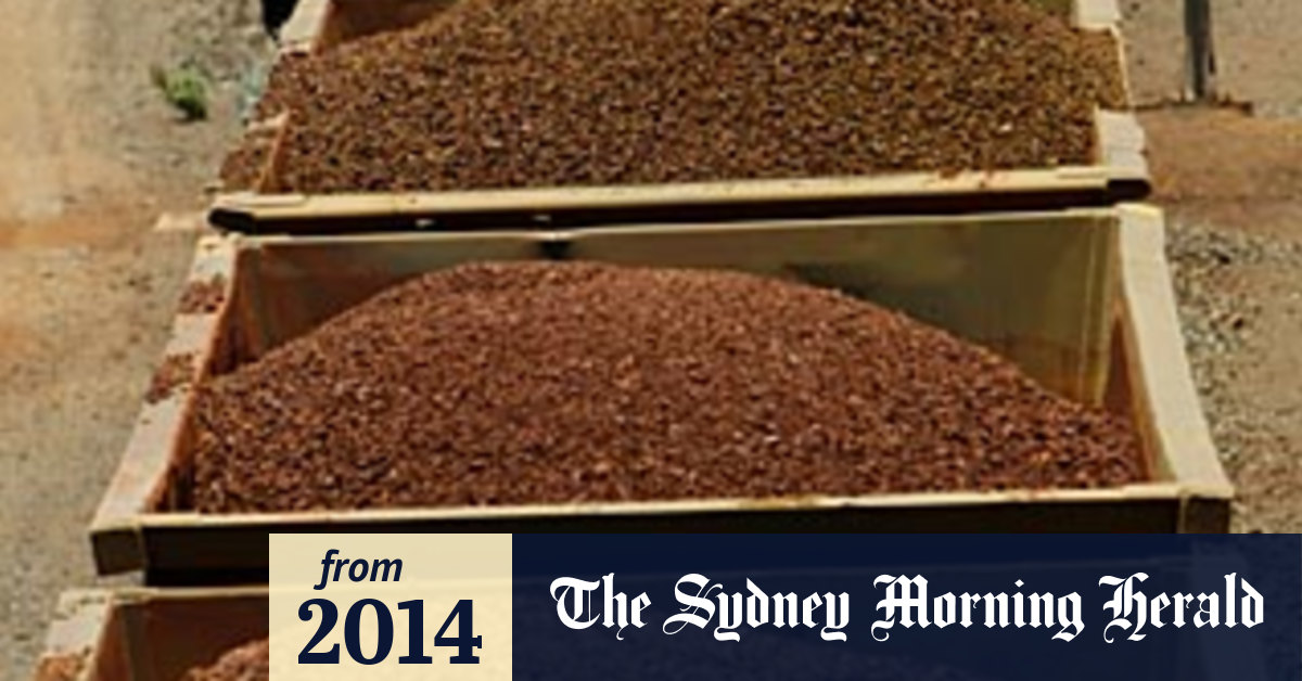 Iron ore drops again as China credit crackdown continues