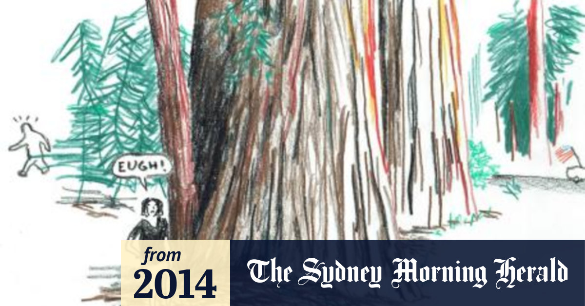 North California's land of redwood, bigfoot and ... erk!