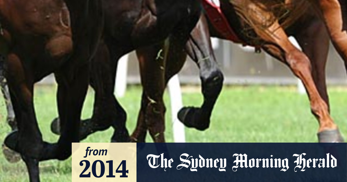 Wyong Race Club placed in administration