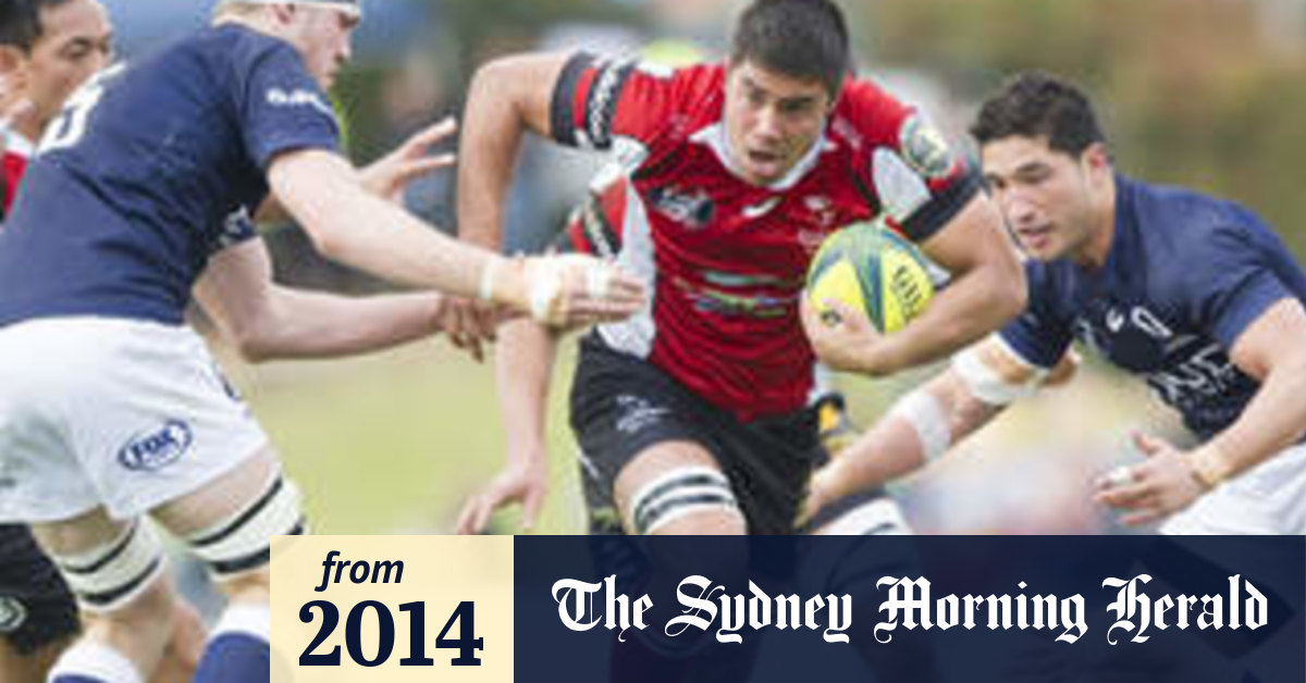 National Rugby Championship: UC Vikings v QLD Country