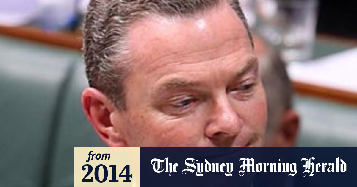 Christopher Pyne's pledge sparks fears public schools will be ignored