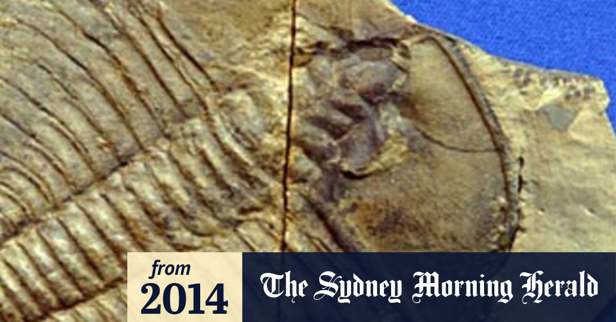 Climate-changing microbes 'made 90% of species on earth extinct'