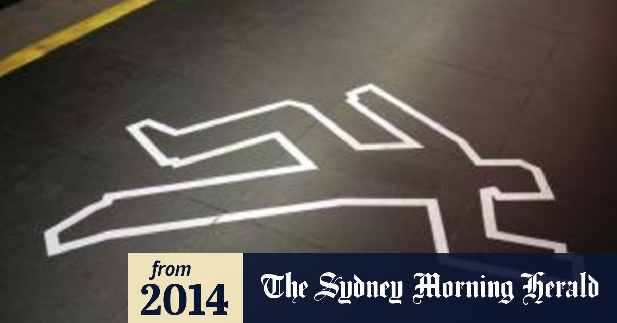 Academics: World less violent than ever before