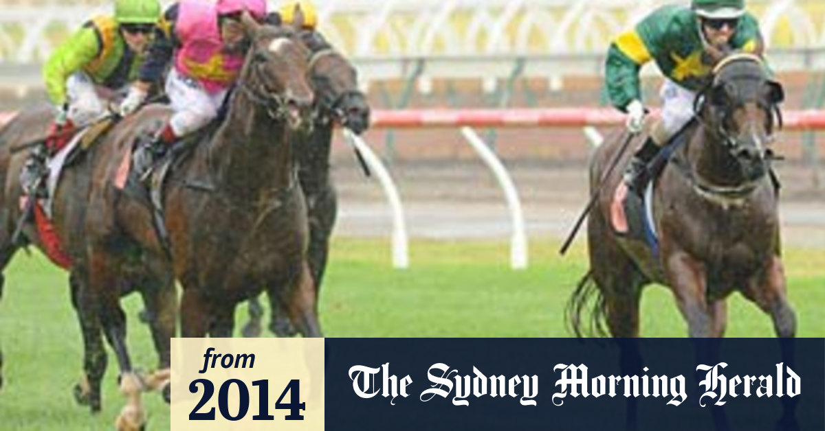 Owner Neil Werrett's magic touch continues as Snitzerland wins Black ...