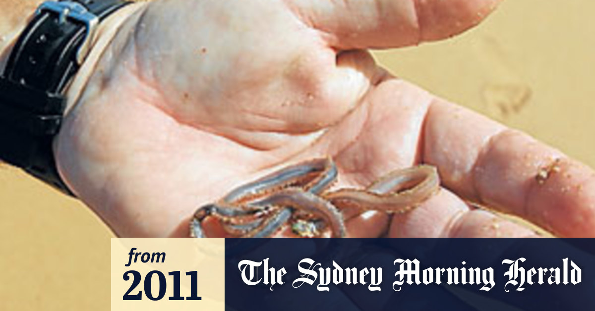 Quick! Before the worm turns