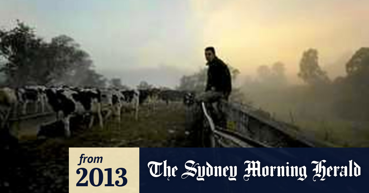 Small dairy farmers the surprise winners in milk wars