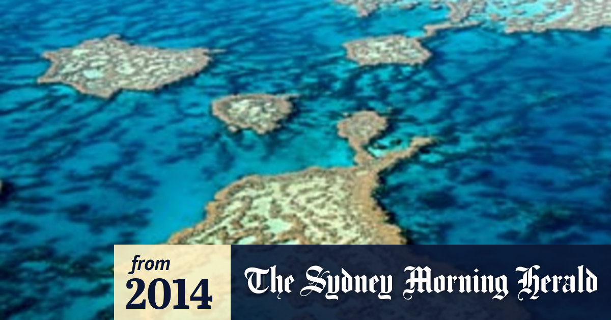 Report from Great Barrier Reef Marine Park Authority warned against ...