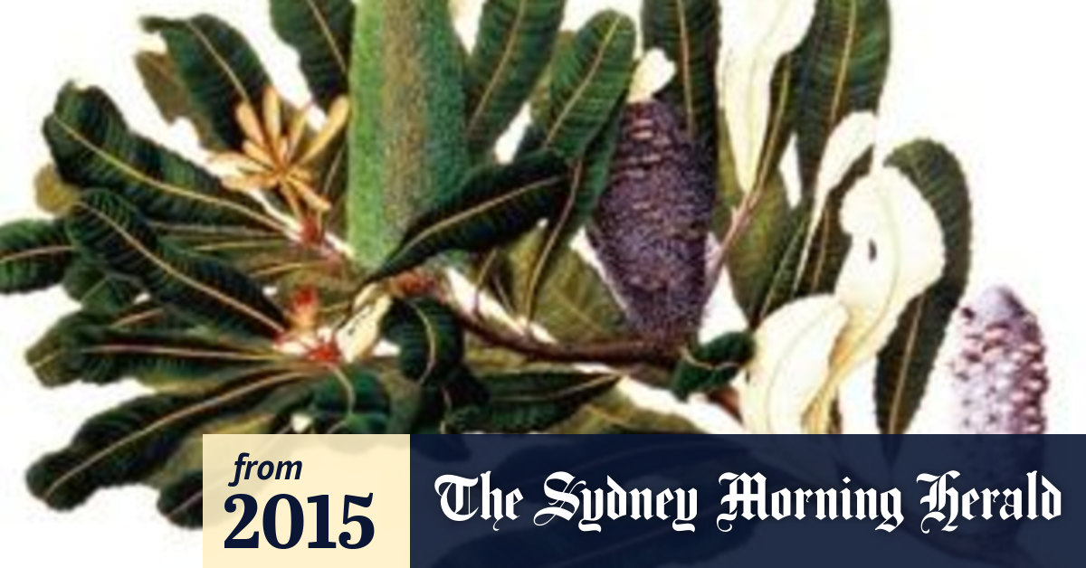 Celia Rosser - aka the Banksia lady - and her life botanic