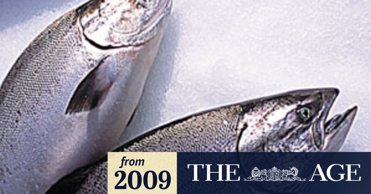 Salmon fishing in the Seine