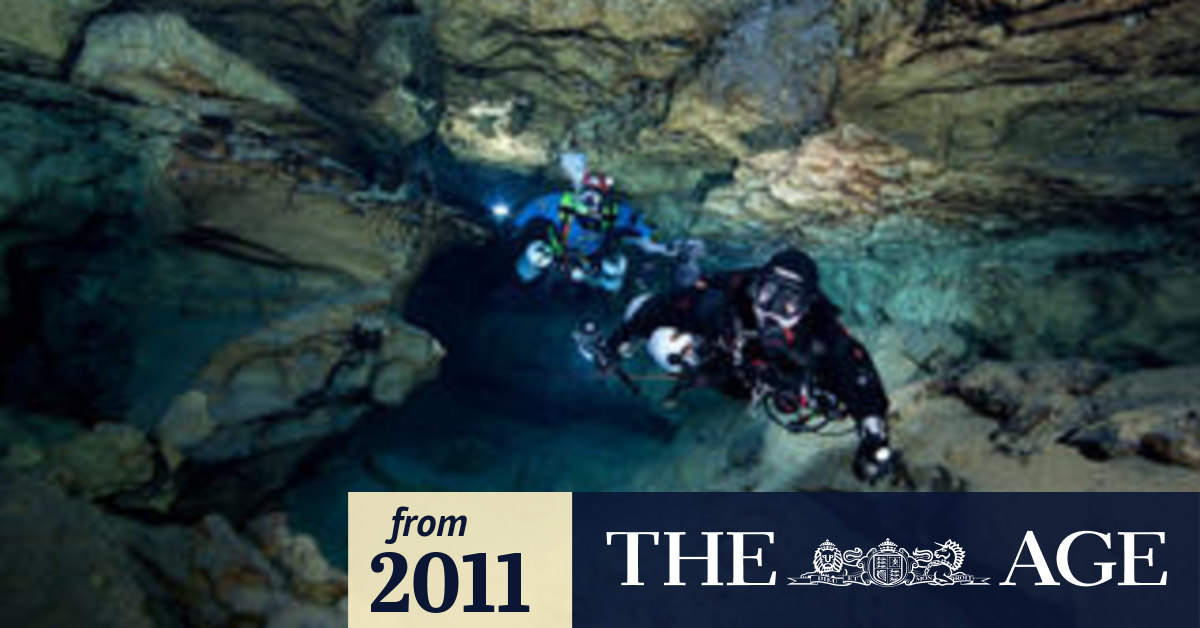 Dead Melbourne diver found by dive buddy