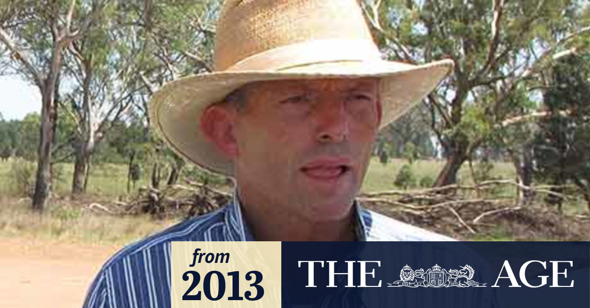 Political window dressing