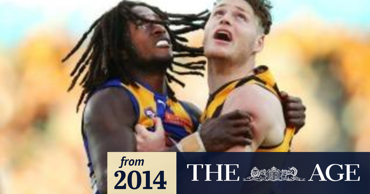 The best day of Hawthorn ruckman Luke Lowden's life