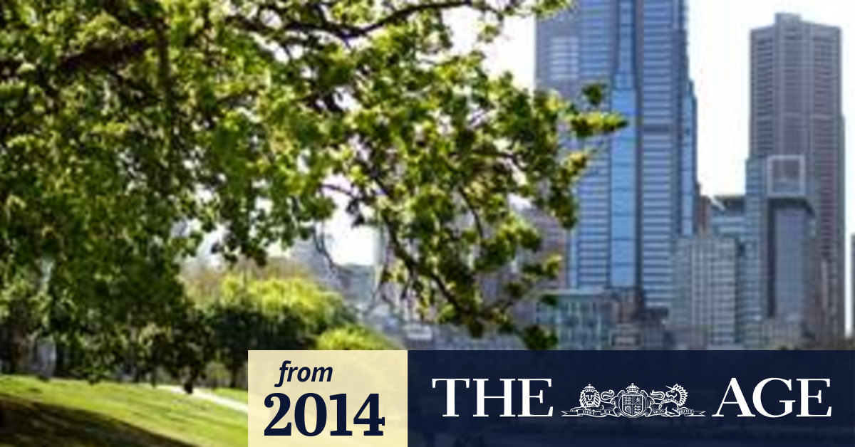 Award-winning Melbourne tree-saving program ‘best in the world’