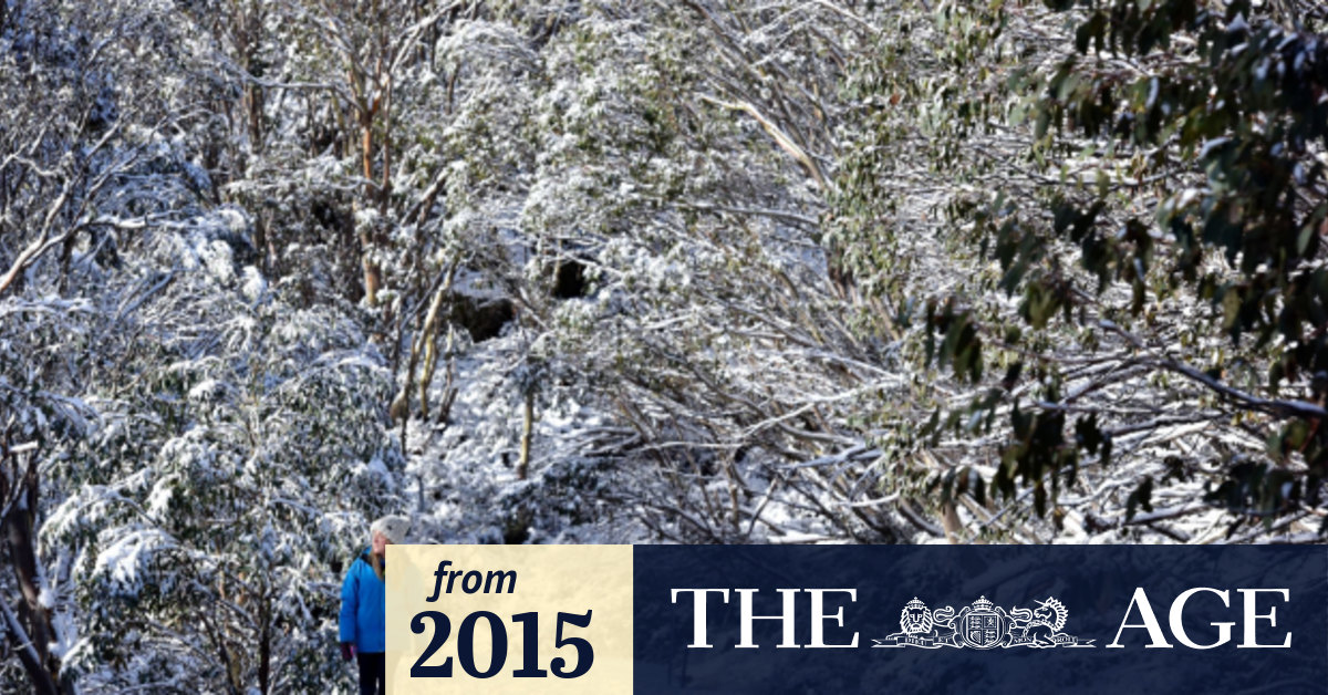 Melbourne weather: Winter start breaks coldest June day record