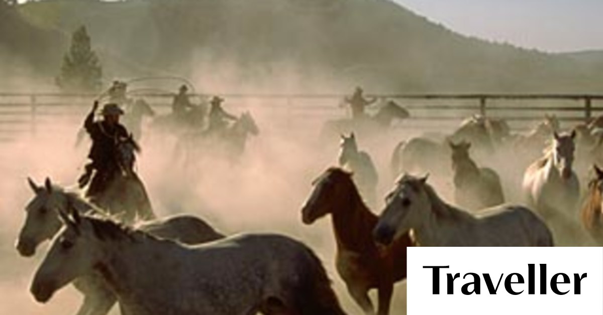 Wyoming, USA: Cowboy dreaming