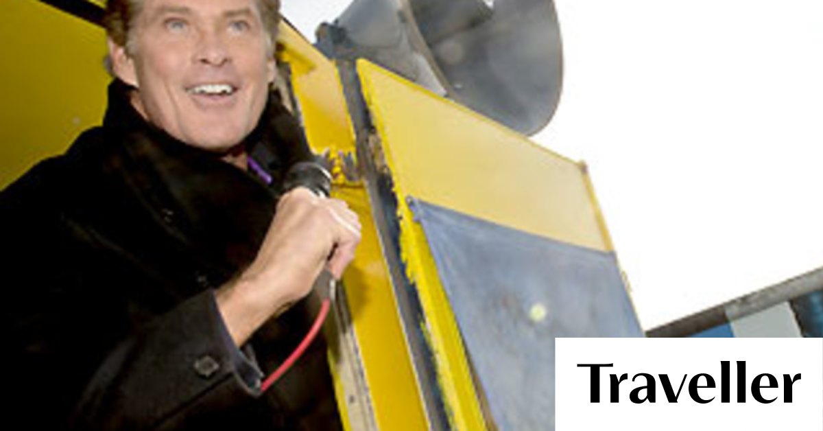 The Hoff joins protests over Berlin Wall destruction