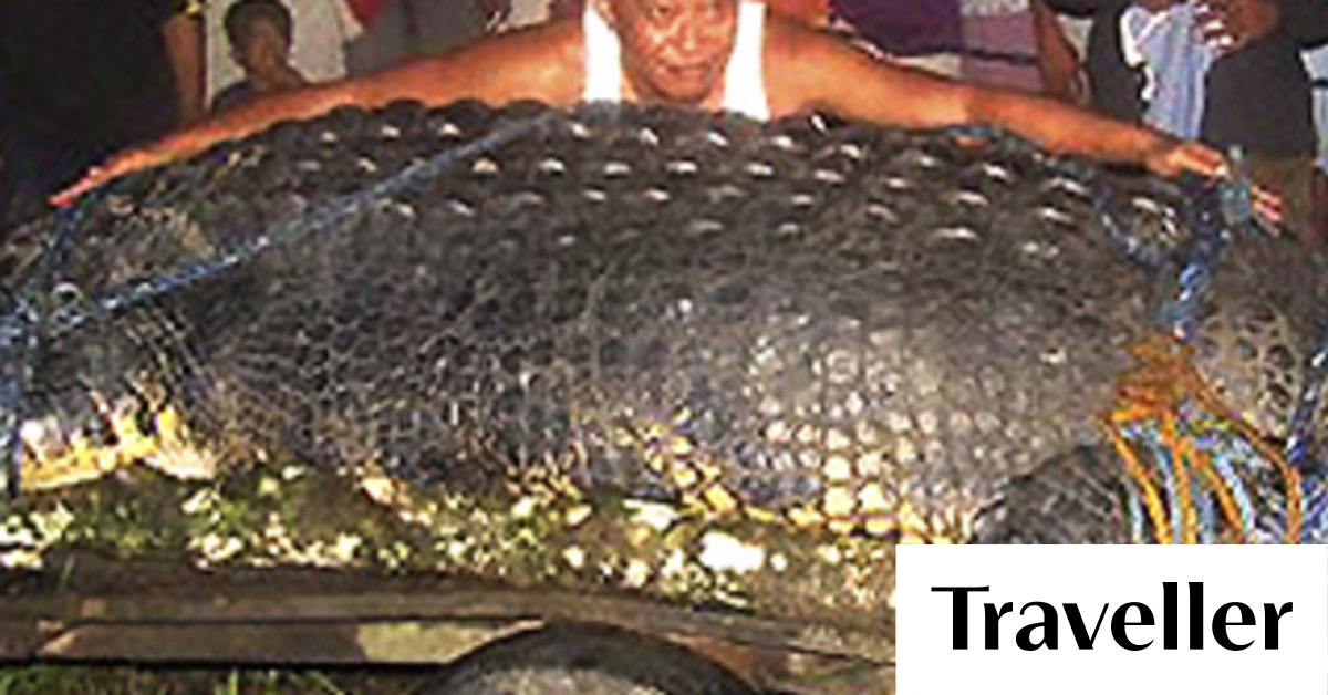 Giant croc world's largest in captivity