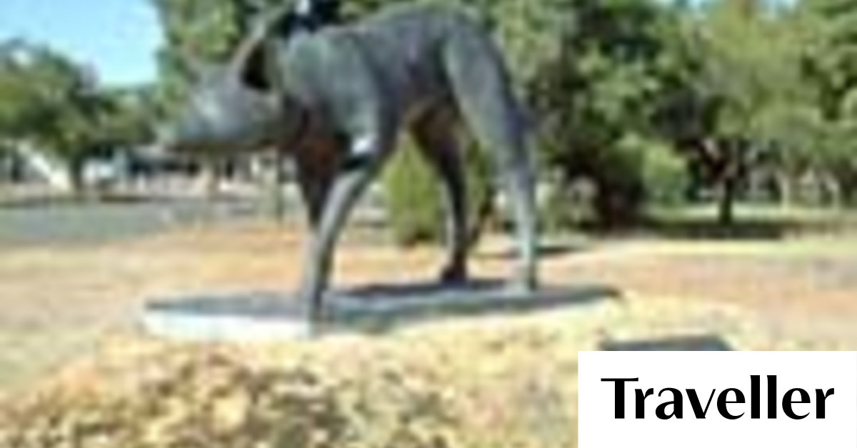 Ardlethan - Places to See