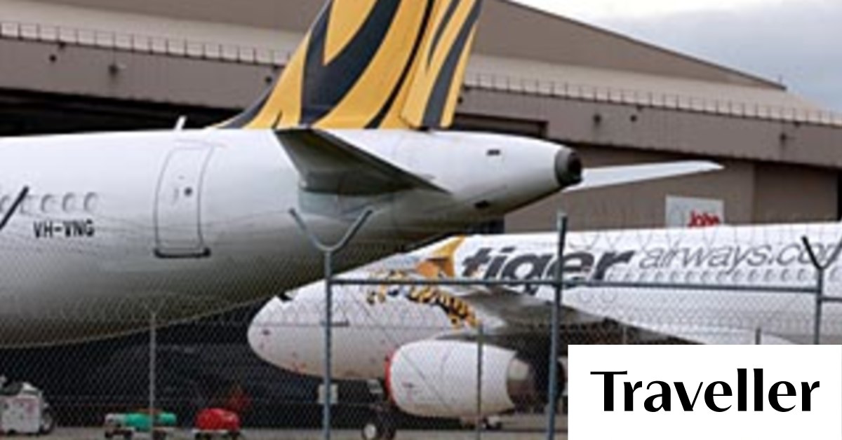 Tiger given back its wings