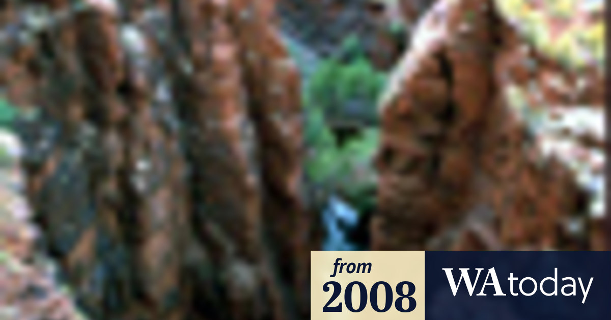 Tourists at fault in SES death