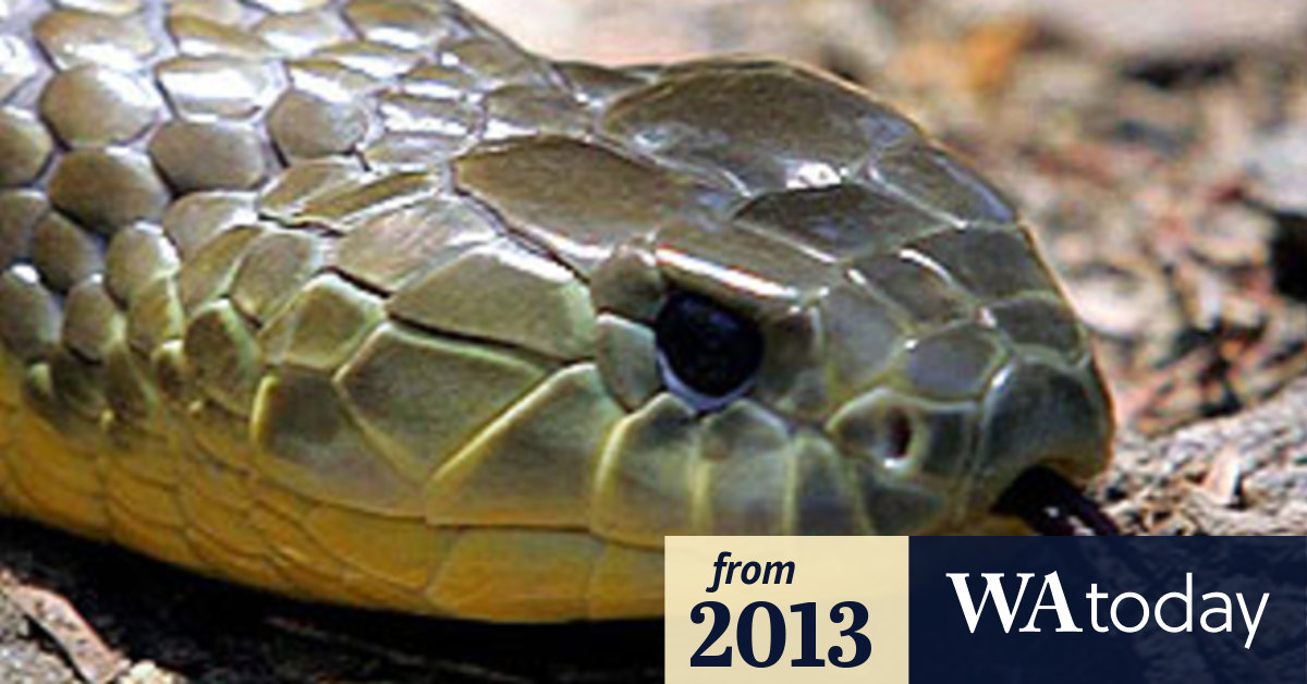 Emergency services unite to save Pilbara snake bite victim