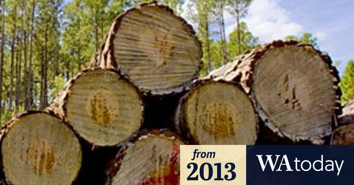 EPA backs decade of SW logging
