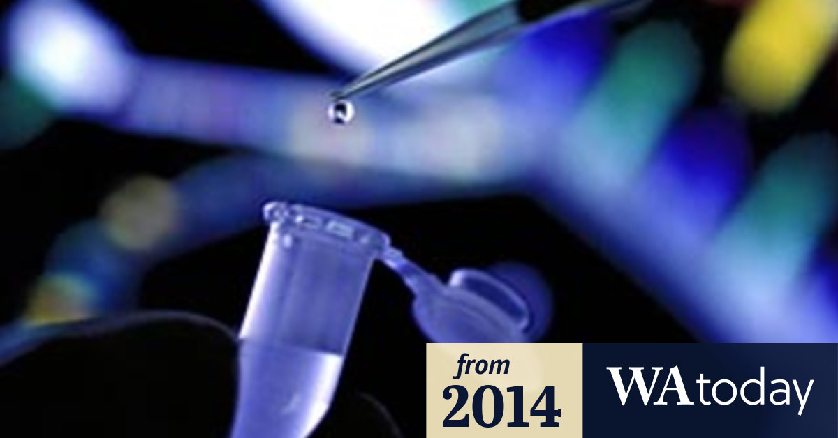 Forensic tests of white powder packages find no DNA, fingerprints