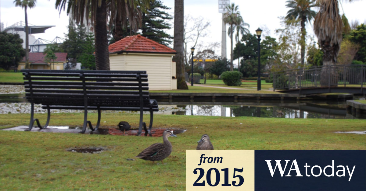 WA weather: widespread rain to follow warmer night in Perth