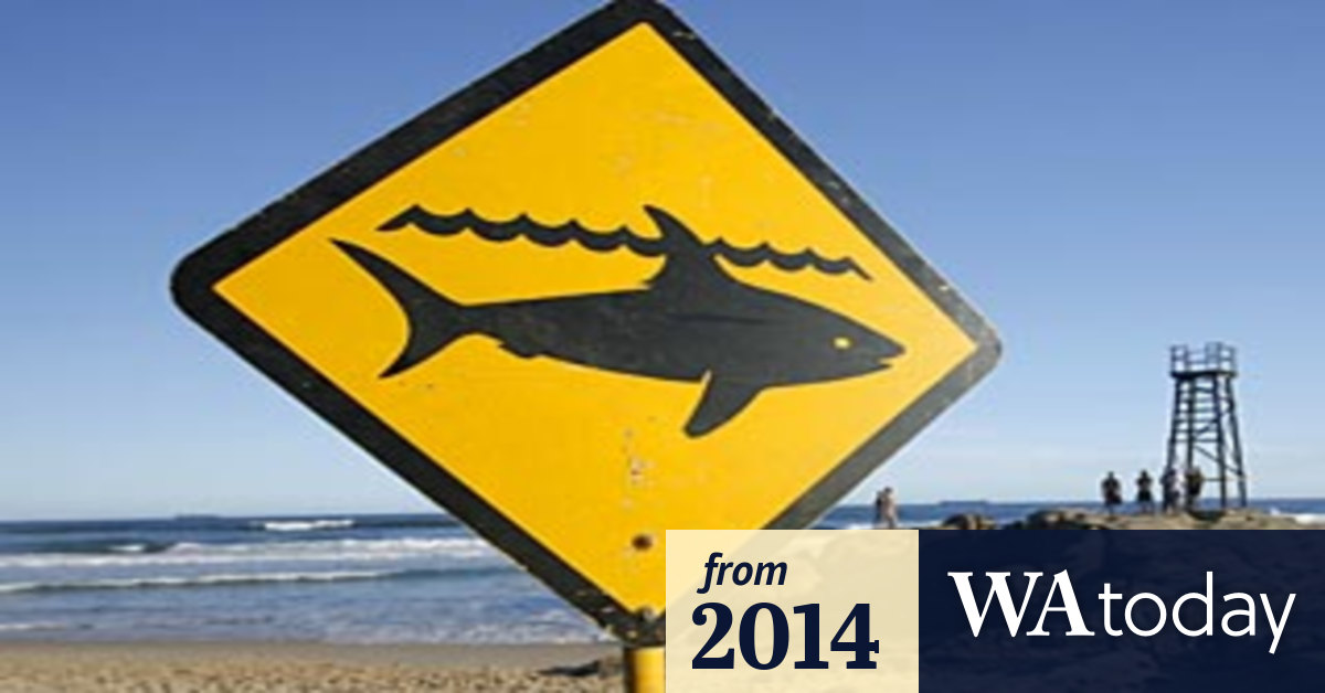 WA Fisheries officers fear shark activists