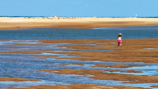 Ayr, Queensland: Travel guide and things to do