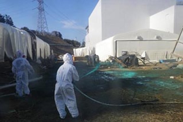 Nuclear disaster response failed, report finds