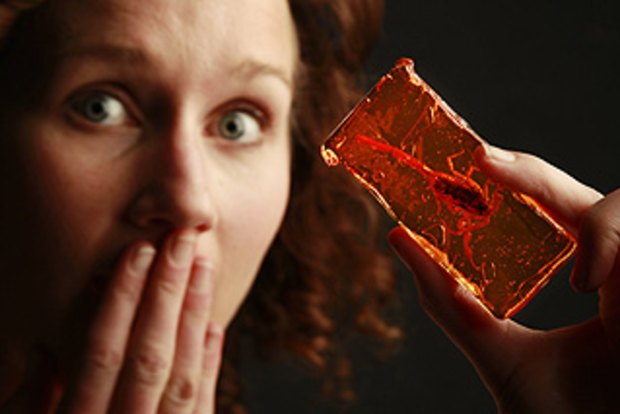 Oven baked tarantulas test the intrepid gourmet