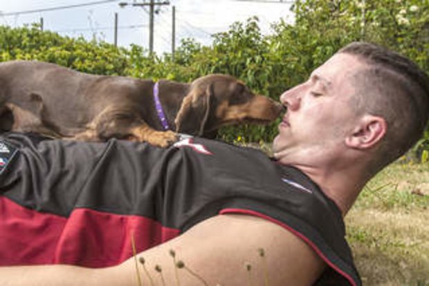 Getting the lowdown on the sausage dog trend