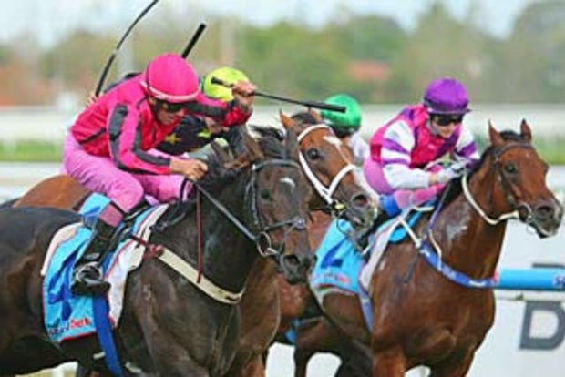 Day of firsts for NZ trainer Paul Richards and jockey Chris Johnson