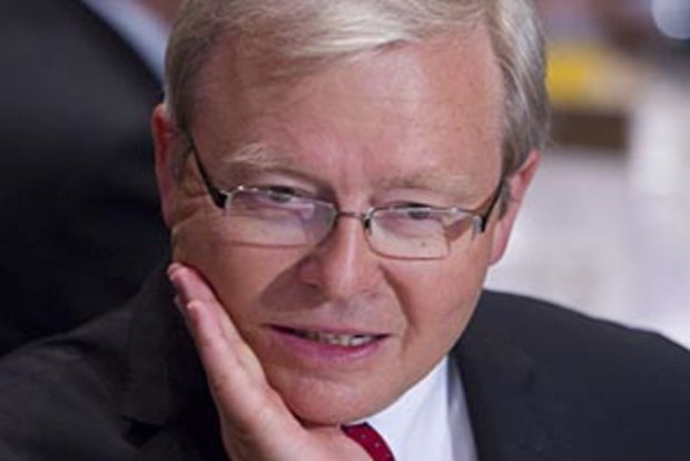 Rudd back in harness