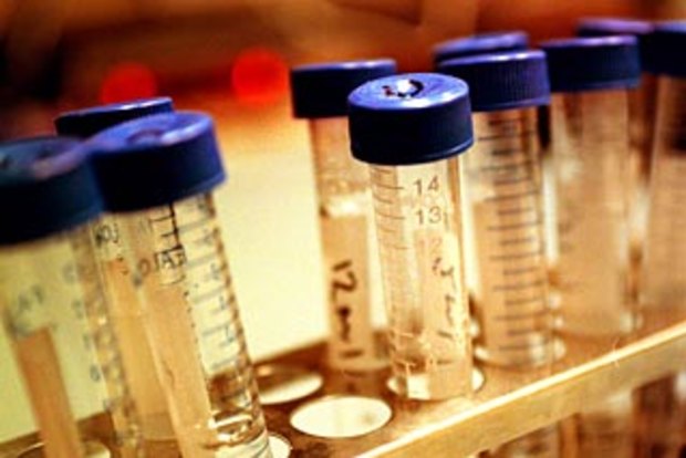 Clinics offering cut-price IVF treatment