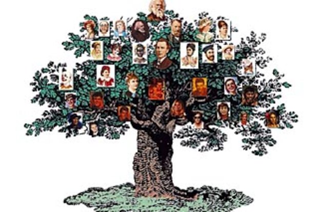 Family tree a life saver