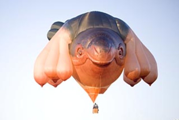 Canberrans aim a harpoon at Skywhale