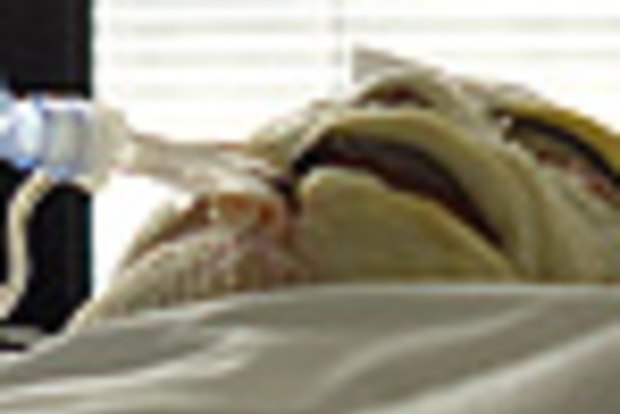 Bushfires 'one of the worst disasters': doctor