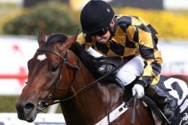 John Messara tempted to double up for group 1 glory in Golden Rose