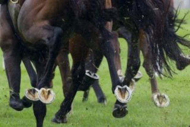 Renowned jockey Kevin Mitchell dies in Melbourne