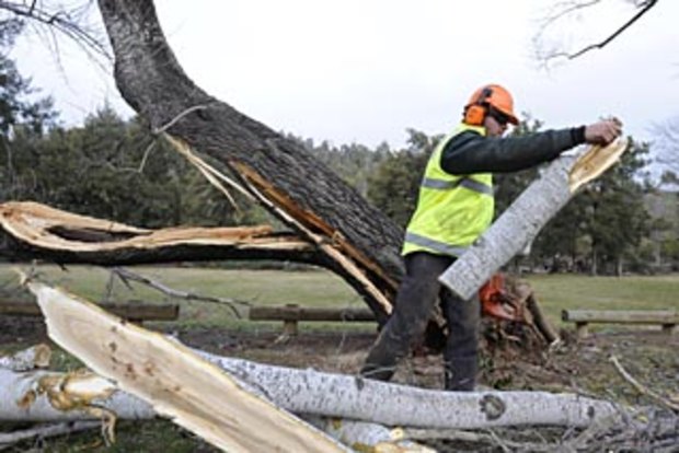 Forestry industry surprised by changes