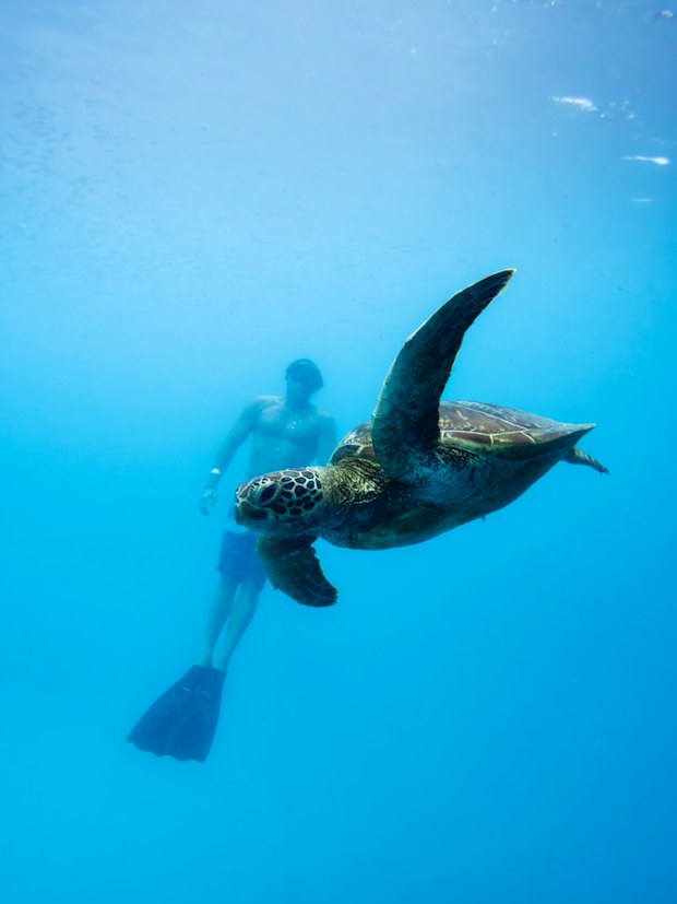 A Southern Great Barrier Reef escape with Lincoln Lewis | Nine.com.au
